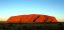 Uluru's Fascinating Flora and Fauna